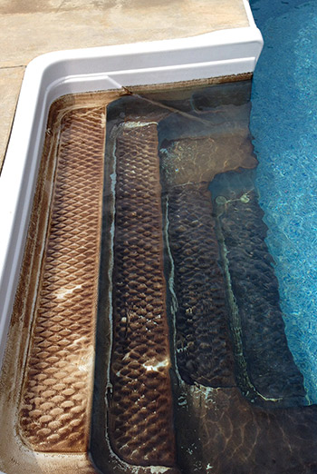 Dealing with Pool Stains? Identify Before You Treat | AQUA Magazine