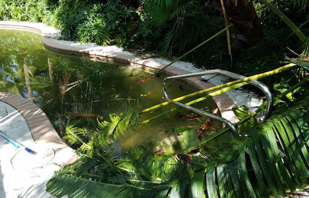 Pool Cleanup After a Hurricane | AQUA Magazine