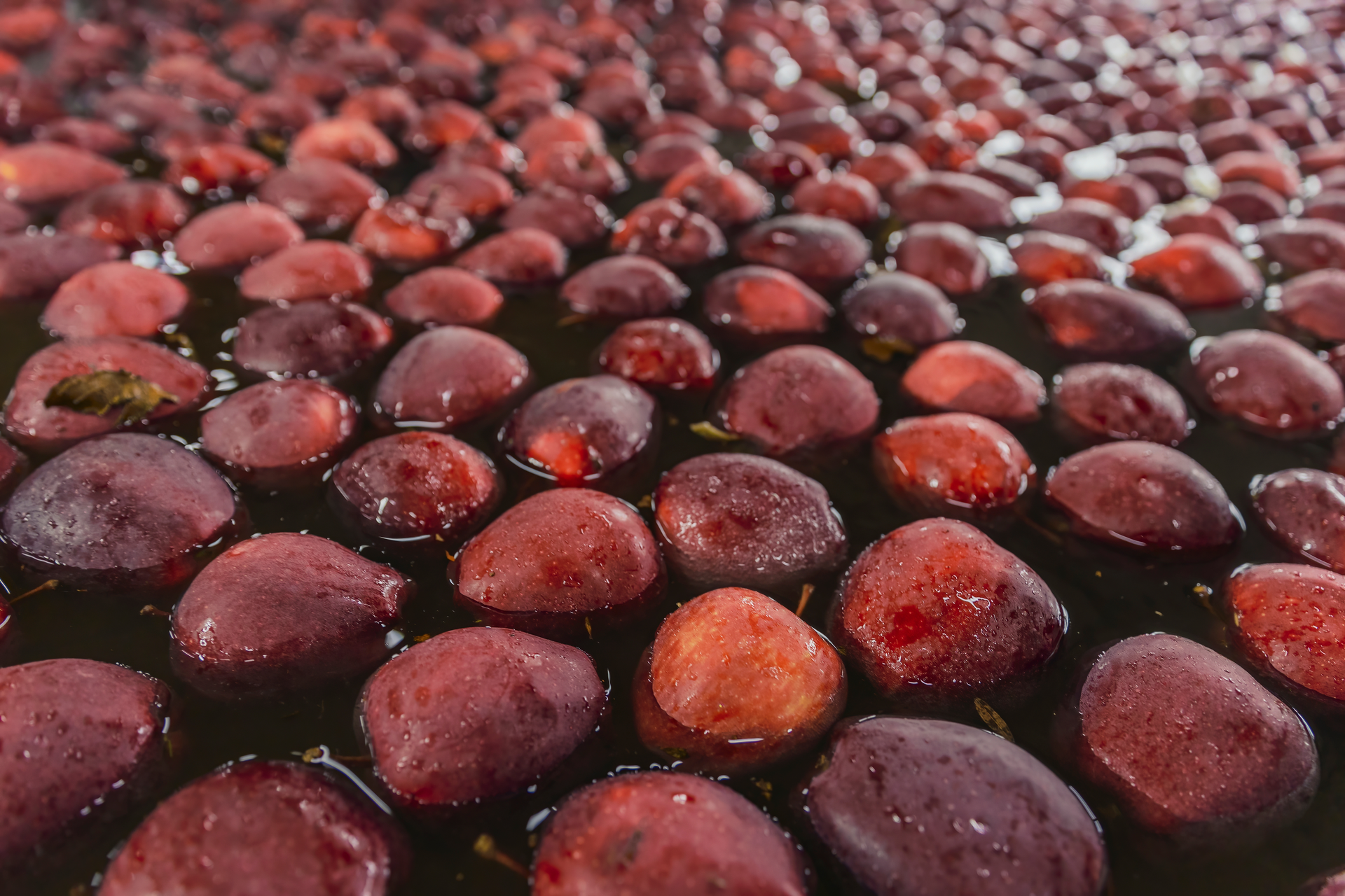 10 Activities for Spooky Pool Fun This Halloween | AQUA Magazine