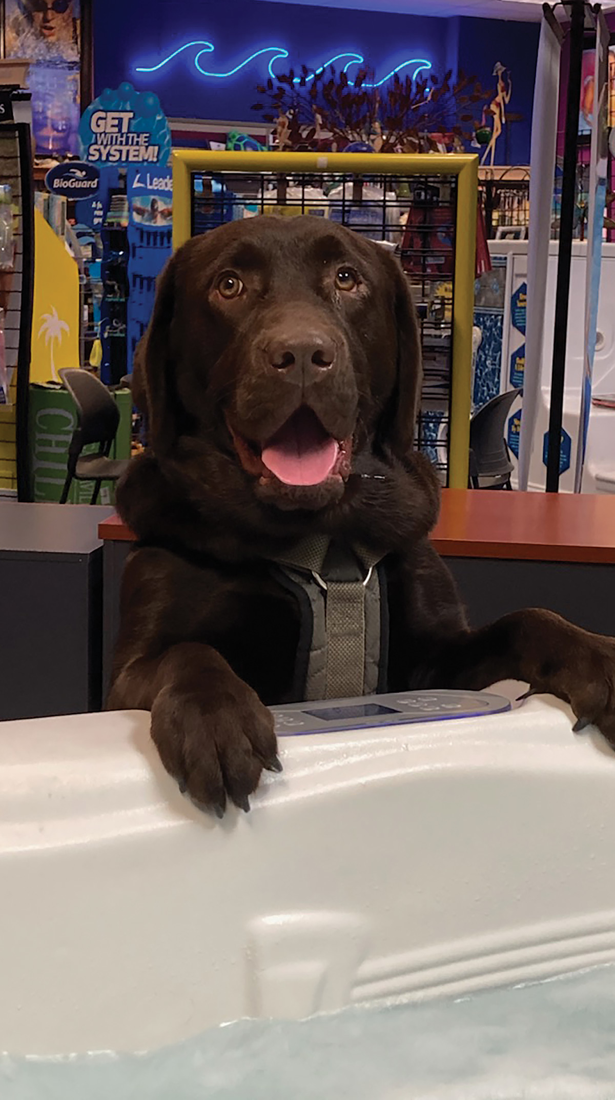 Spotlight: A Furry Retail Employee | AQUA Magazine